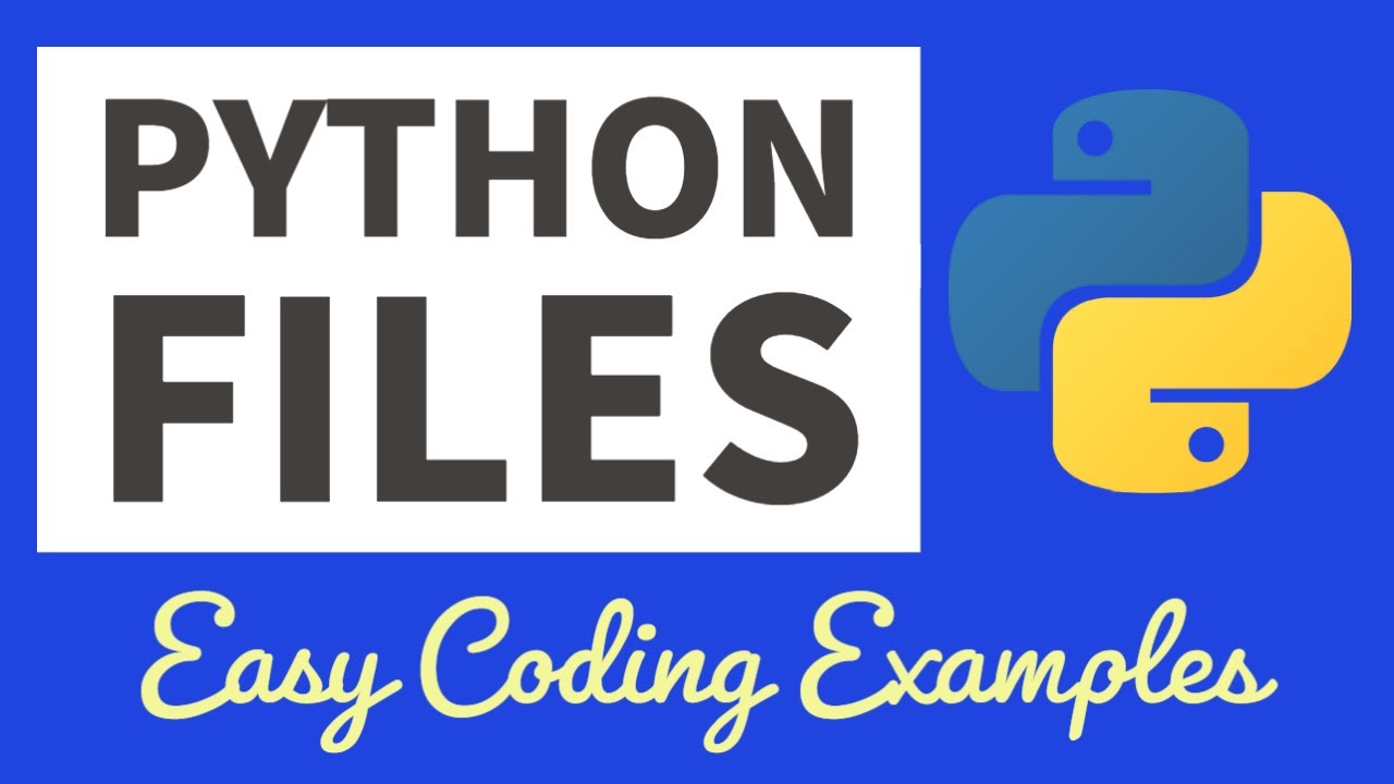 Python File Class - Reading Writing & Create Code Examples - 2022