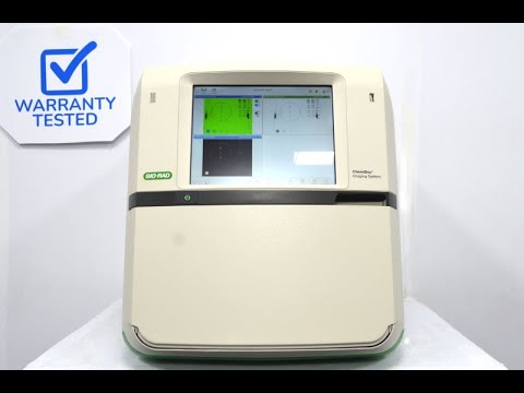 Bio-Rad ChemiDoc Imaging System Upgraded for Multiplex Fluorescence Detection [BOSTONIND] - 60197
