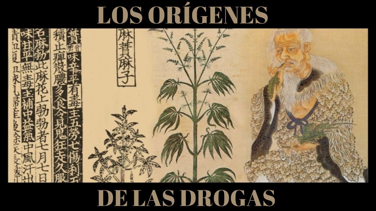 ¿Cuál es el origen de las drogas? || LAS DROGAS EN LA ANTIGÜEDAD ||