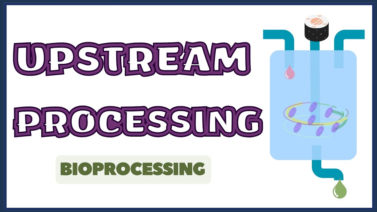 Upstream Processing || 🔴Bioprocess #biotechnology #upstreamprocessing #bioprocess #upstream 