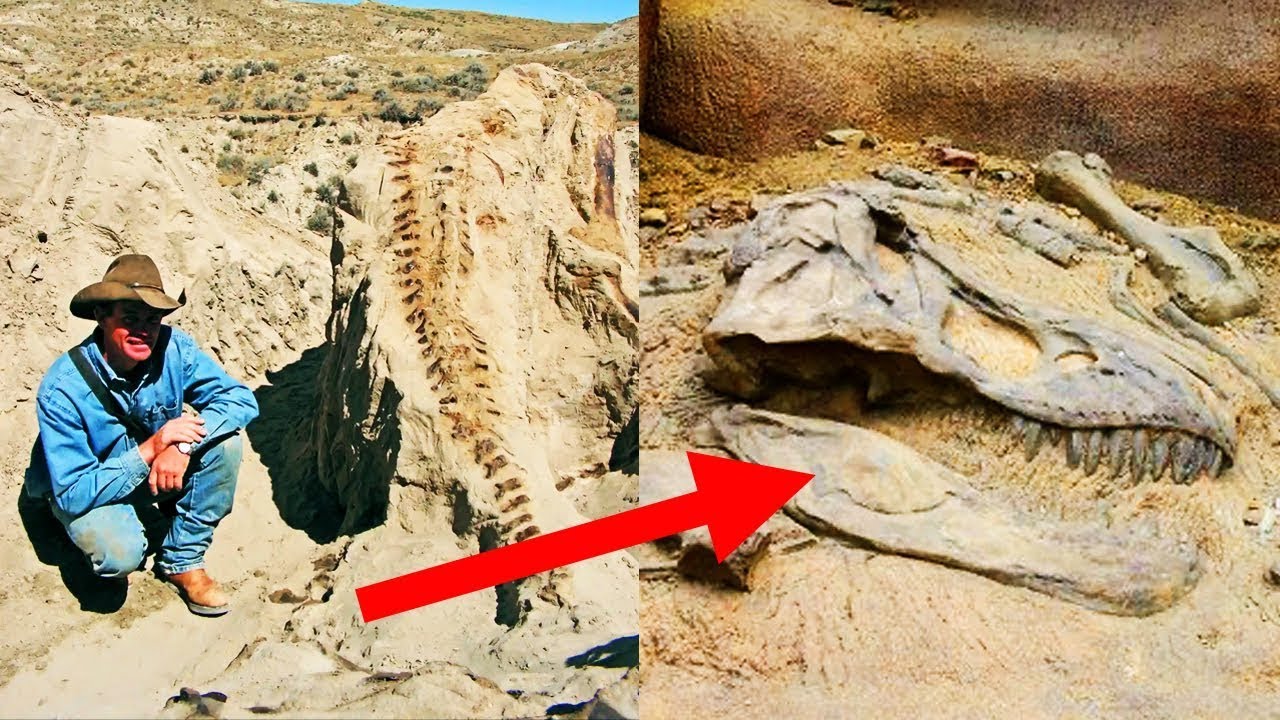 A 110 Million Year Old Dinosaur Mummy Has Just Been Found! What Have Archaeologists Found?