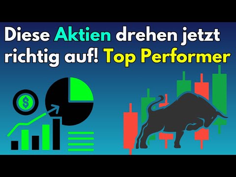 Top Performer Aktien📈🔥Diese Aktien steigen (fast) immer!