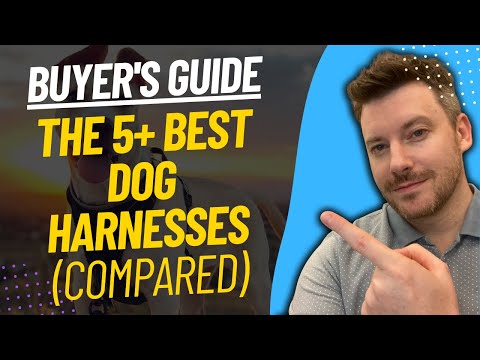 TOP 5 BEST DOG HARNESSES - Best Dog Harness Review (2023)
