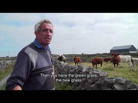 02 Island Farming - Feilméaracht Oileán