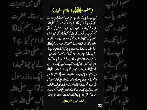 Hazoorﷺ ka Ghulam safina|best islamic history books in urdu