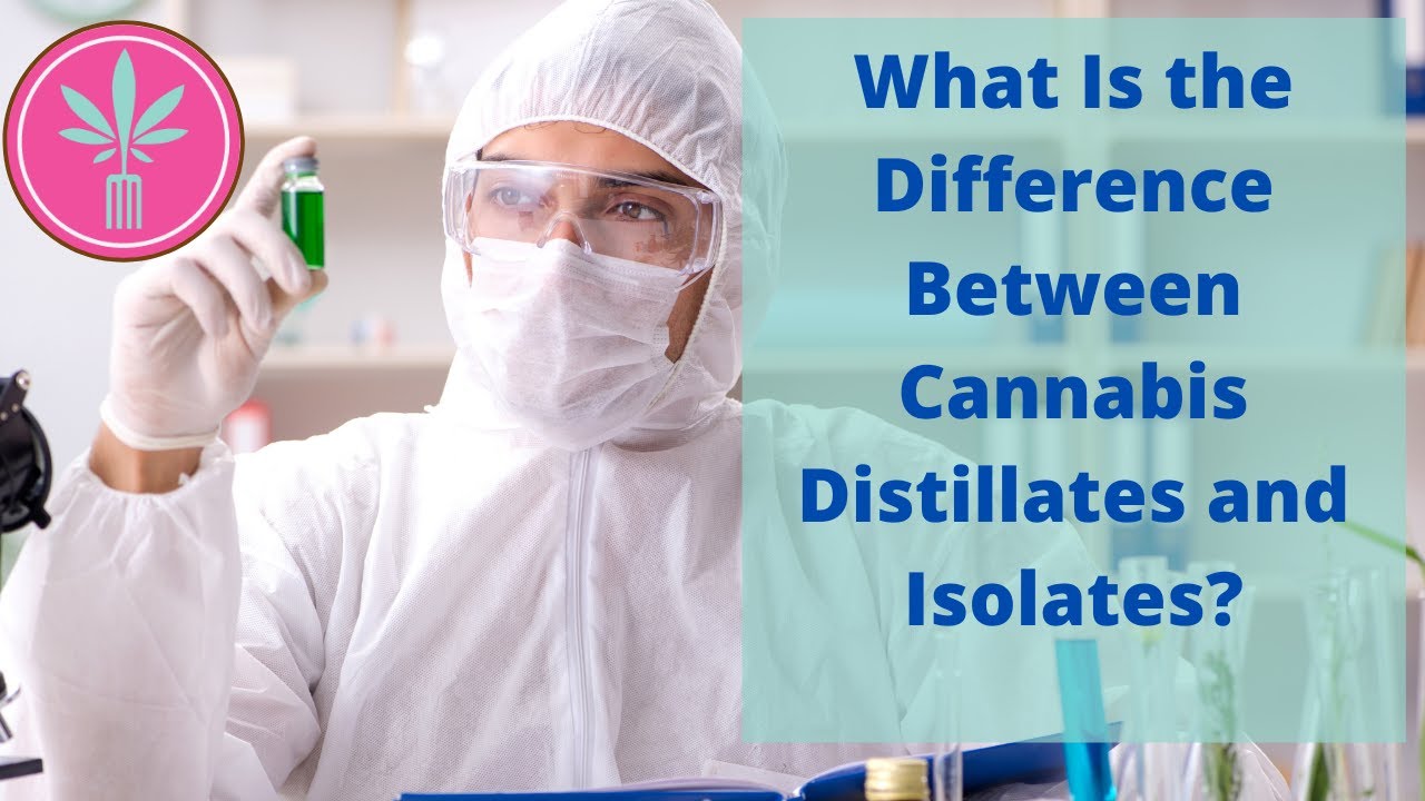 The Difference Between Cannabis Distillates and Isolates