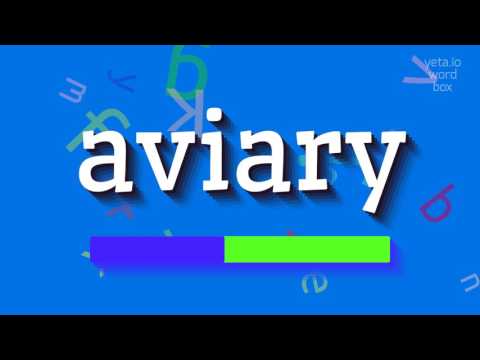 HOW TO SAY AVIARY? #aviary