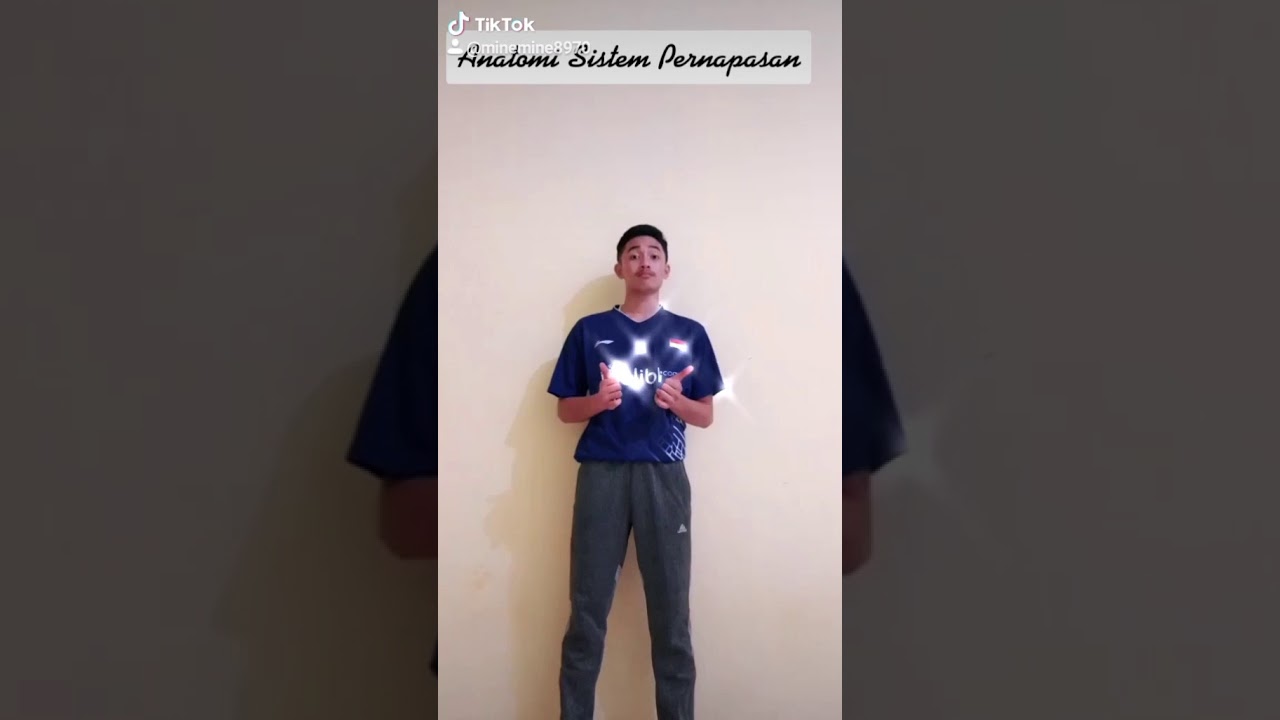 TUGAS MINI RISET & PROYEK ANATOMI