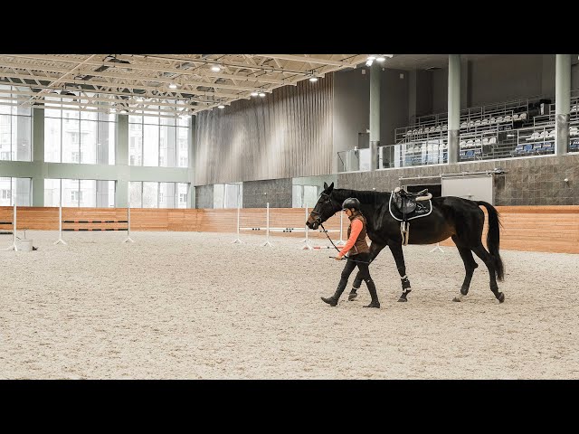 Конноспортивная школа Equicenter Северный