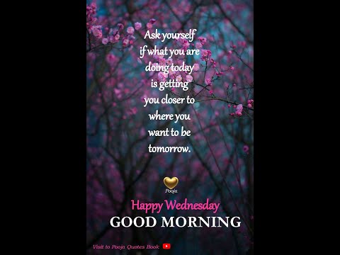 WEDNESDAY QUOTES /GOOD MORNING IMAGES /WHATSAPP STATUS/WHATSAPP DP PHOTOS/BEAUTIFUL IMAGES