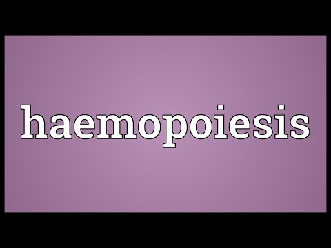 Haemopoiesis Meaning