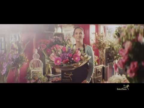 Send a stunning bouquet created by our expert local florists