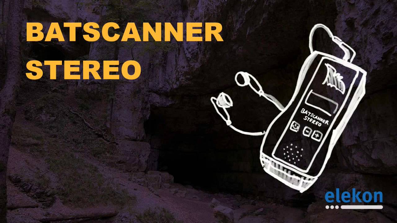 BATSCANNER STEREO - Stereo bat detector audio demo