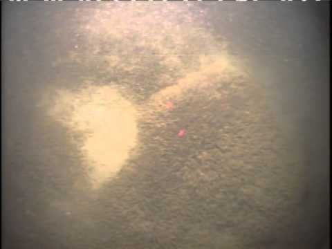 11015_Station_080