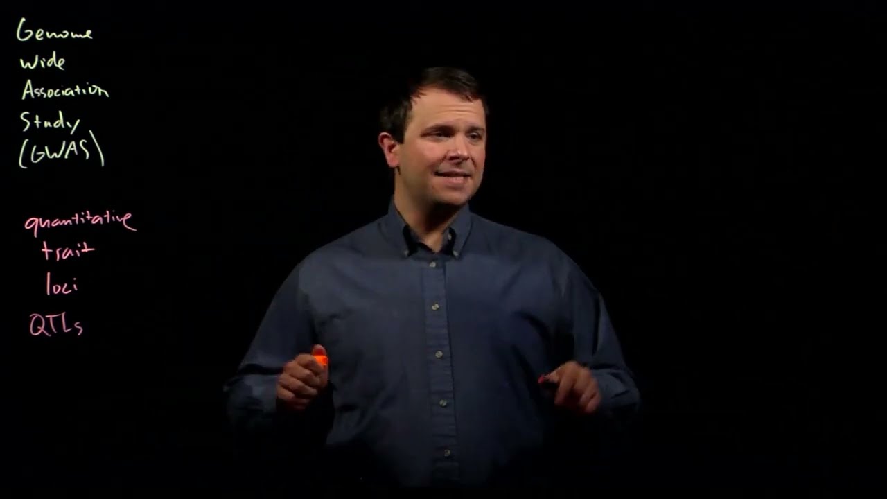 Quantitative trait loci (QTLs)