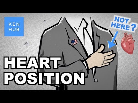 Your heart is not where you think it is - Human Anatomy | Kenhub