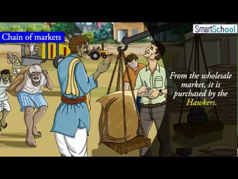 Markets Everywhere Video Lecture - Class 7