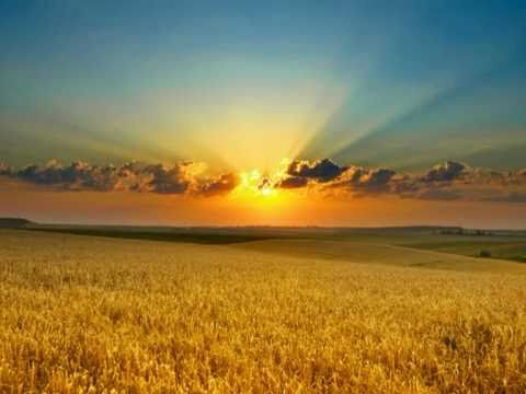 The Light and Glory of the Word - William Cowper