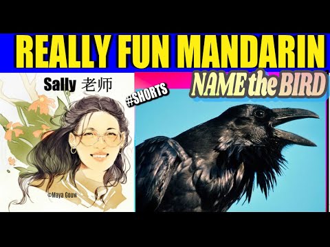 #Shorts|CROW/RAVEN 乌鸦|Names The Birds In Chinese|One Day One Bird|Learn Chinese With Sally Gouw