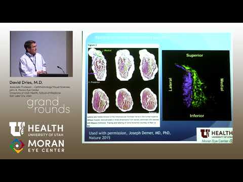 Case Presentations: Pediatrics