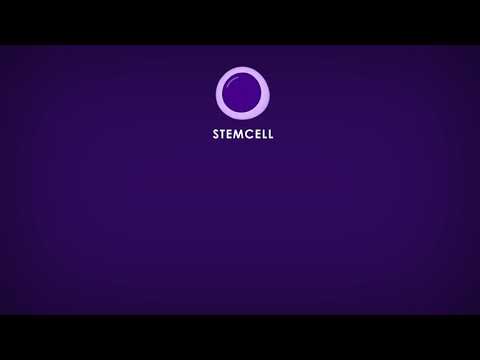 Animasi Hematopoesis - Proses Pembentukan Darah