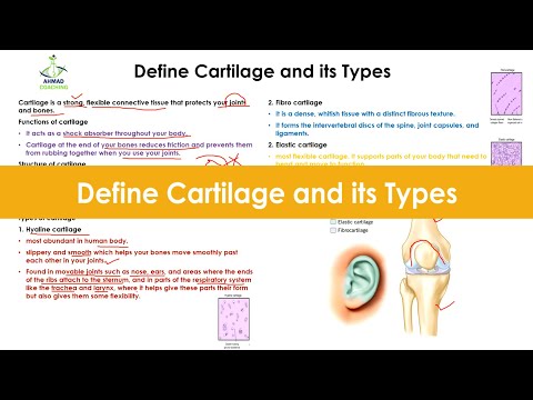 Define Cartilage and its Types | Support and Movement