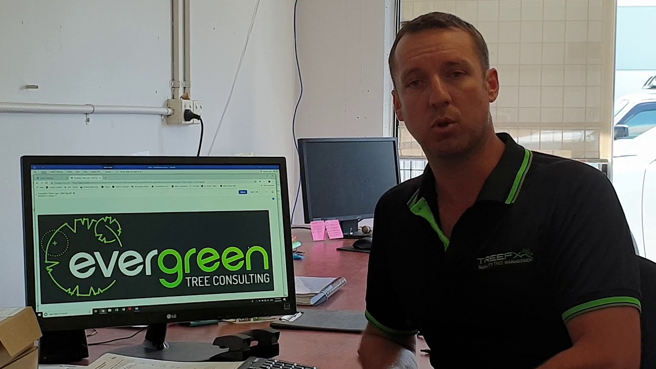 Evergreen Tree Consulting introduction video
