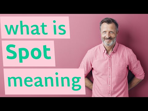 Spot | Meaning of spot