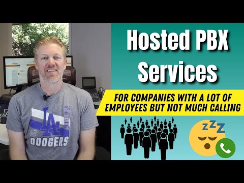 Hosted PBX Services for companies with a lot of employees but not much calling