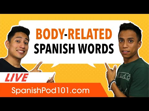 Spanish Words for Body Organs!
