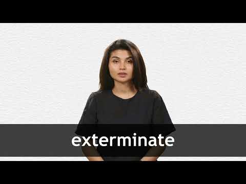 EXTERMINATE definition and meaning | Collins English Dictionary