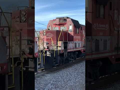 RJ Corman Railroad Locomotives On CSX Tracks To Louisville Kentucky, JawTooth Shorts