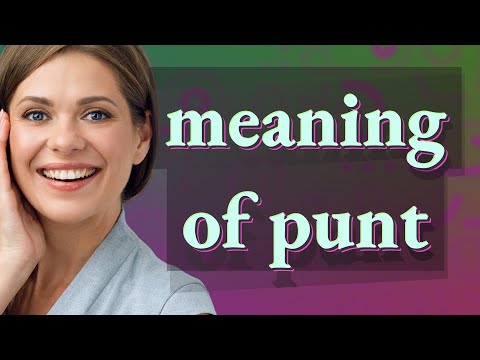 Punt | meaning of Punt