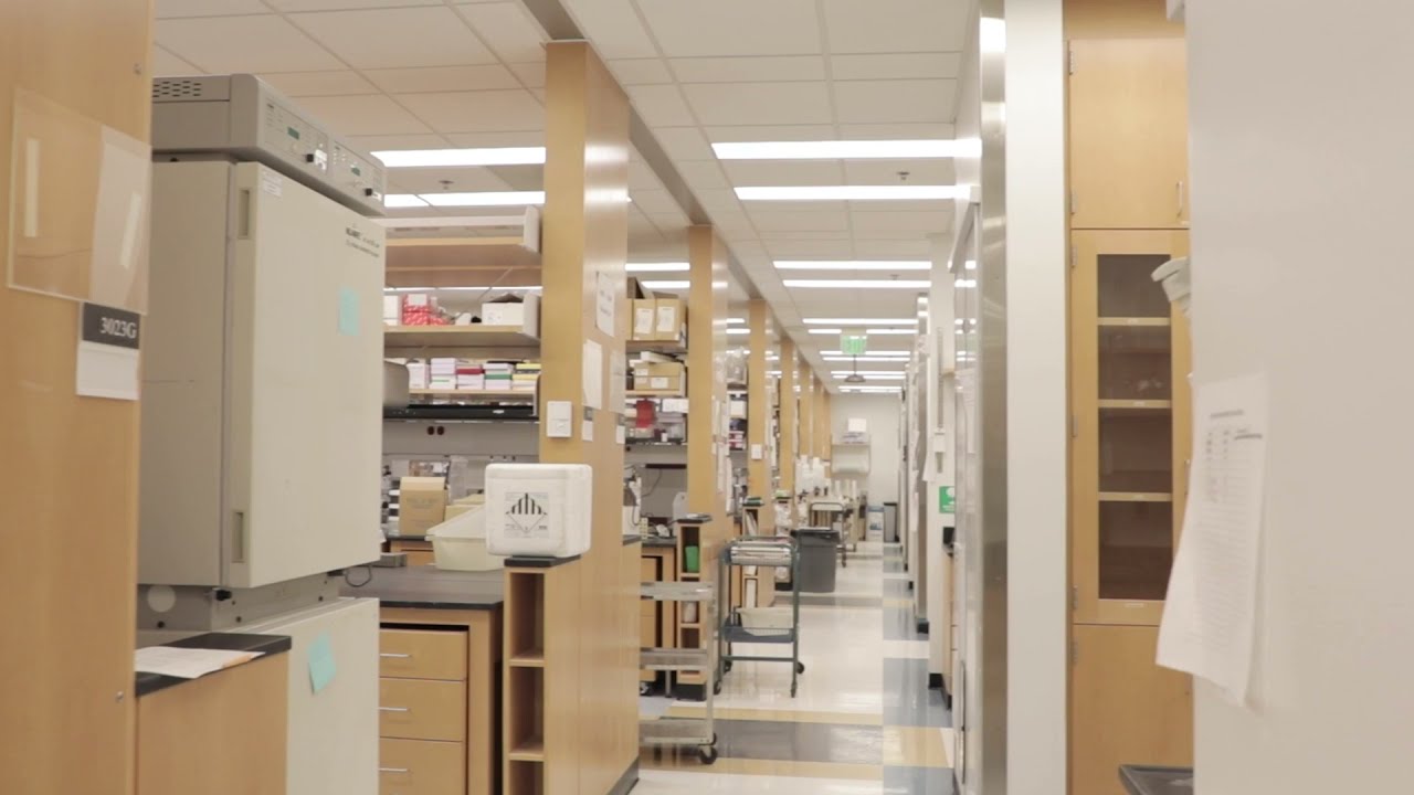UNC Department of Biochemistry and Biophysics lab tour