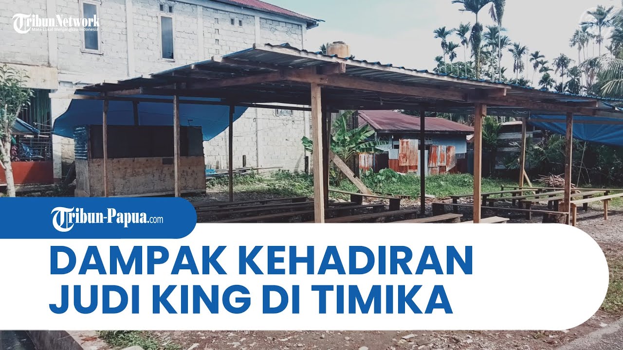 Dampak Kehadiran Judi King di Timika bagi Generasi Muda Papua - Tribun ...