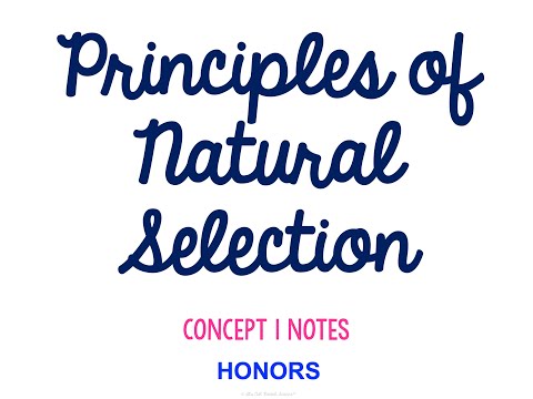 Unit 6 Evolution HONORS Concept 1 Notes *UPDATED*