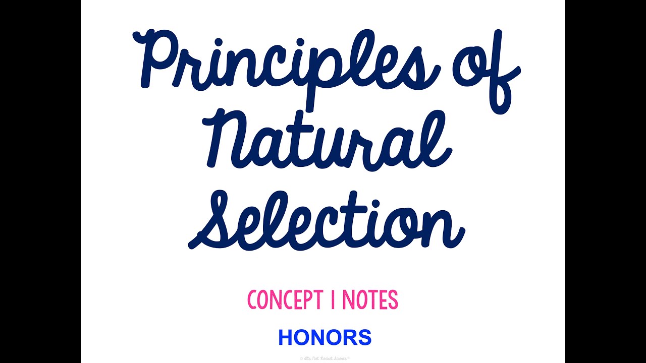 Unit 6 Evolution HONORS Concept 1 Notes *UPDATED*