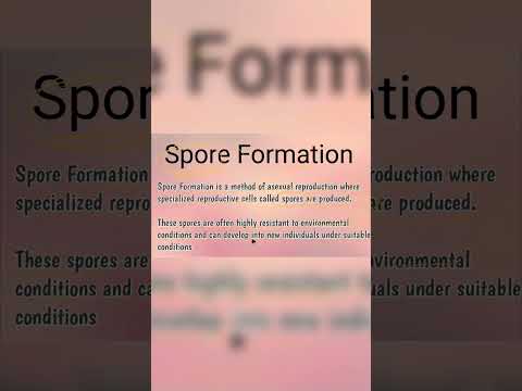 Here is What's Good About Spore Formation class 10th NCERT #biology