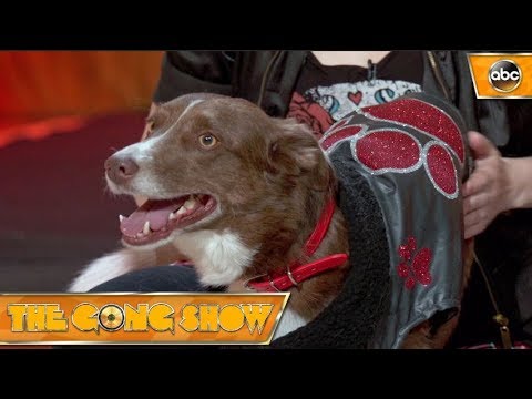 Sweet Sundance – The Gong Show