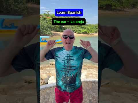 Learn Spanish -| #shorts | THE EAR in Spanish | #Youtubeshorts | Spanish Lessons