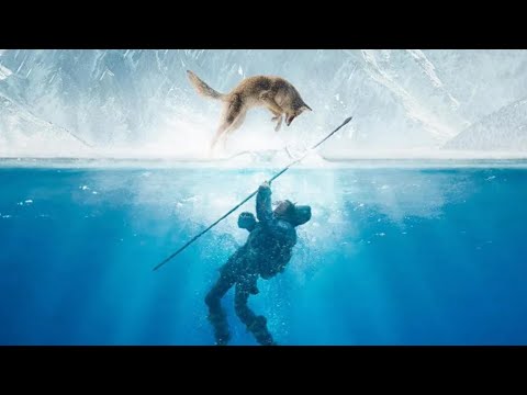 Alpha (2018 film)