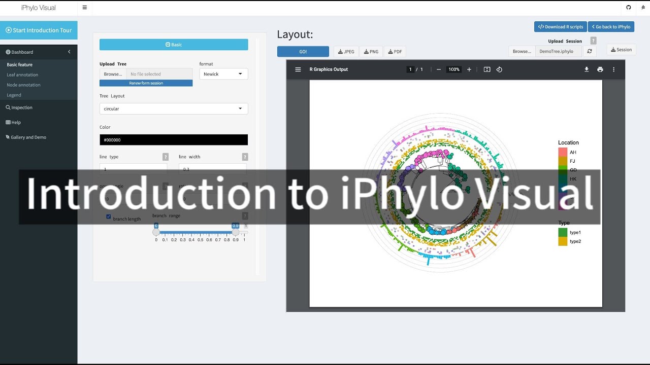 Introduction to iPhylo Visual