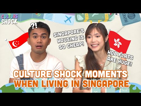 Culture Shock Moments Foreigners Had When They Moved to Singapore (UK vs France vs HK vs Canada)