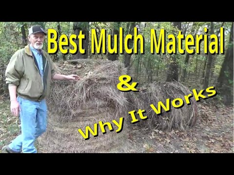 What Is The Best Material To Mulch Your Garden 10-25-2023