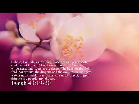 Isaiah 43:19-20