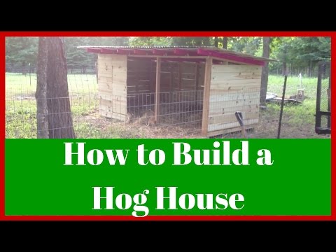 Pigs – How to Build a Hog House | My Food. My Love. My Life.