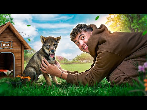 I adopted a dog (he is so cute...) ft. Ace
