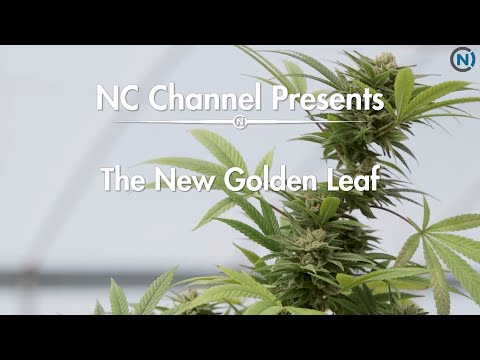 NC Channel Presents: The New Golden Leaf - North Carolina's Hemp industry