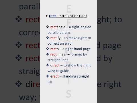 rect | root word for vocabulary