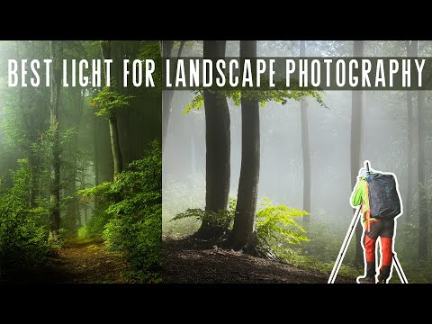 Foggy Forest Landscape Photography: SETTINGS, TIPS, IDEAS, COMPOSITIONS, FILTERS?